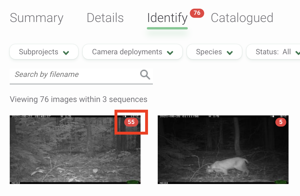 Sequence projects | Wildlife Insights